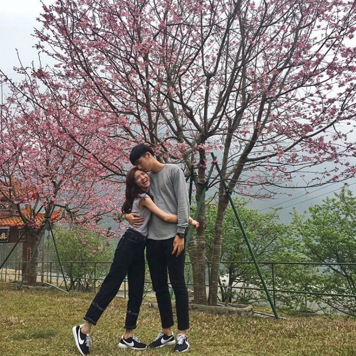 Alishan trip blog — The fullest Alishan travel guide on how to make an ...