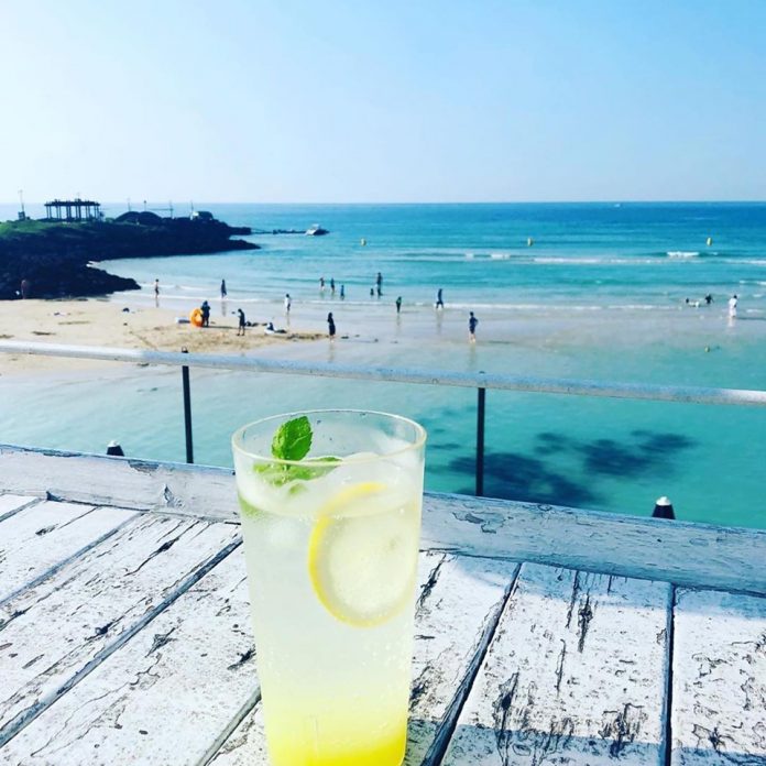 Jeju cafe (Jeju island cafe) — 8 most beautiful coffee shops & cafes in Jeju you must visit ...