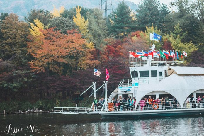 Nami Island in autumn 2025: Best time to visit, How to get there, Tips ...