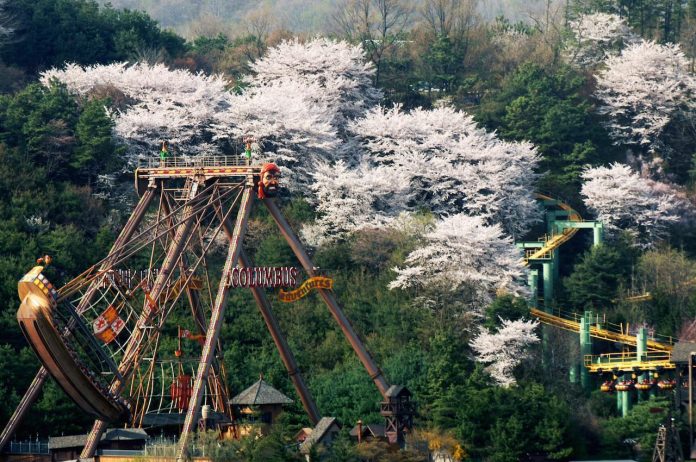 Guide to Everland Theme Park — How to visit & what to do in Everland ...