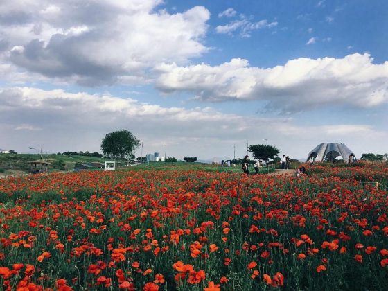 Top Seoul Park — 4 beautiful parks in Seoul & best parks in Seoul Korea ...