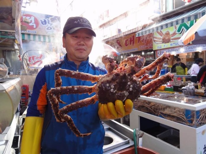 Explore East Busan — Review 1 day tour to discover great sights in East ...