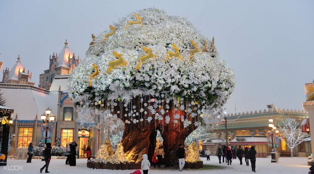 Guide to Everland Theme Park — How to visit & what to do in Everland ...