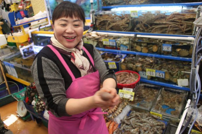 Many species of live shellfish - Living + Nomads – Travel tips, Guides ...