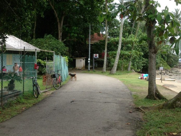 Camping-in-Singapore-tent pulau ubin - Living + Nomads – Travel tips ...