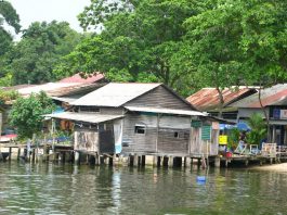 Pulau Ubin travel guide. The ultimate guide to the green island of ...