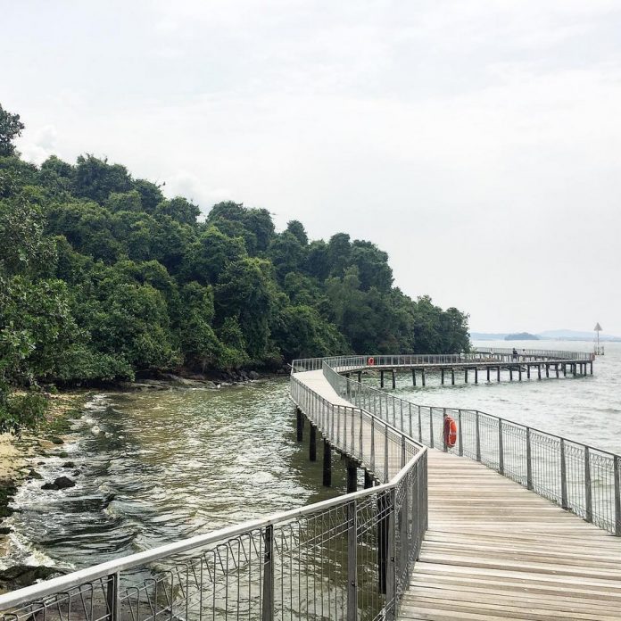 Pulau Ubin travel guide. The ultimate guide to the green island of ...