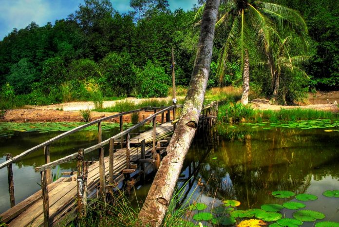 Pulau Ubin travel guide. The ultimate guide to the green island of ...