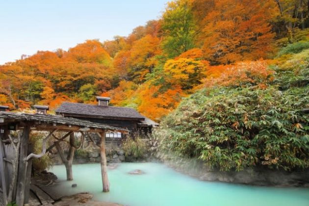 What to do in Kobe? — 10 must, best things to do in Kobe & top things ...