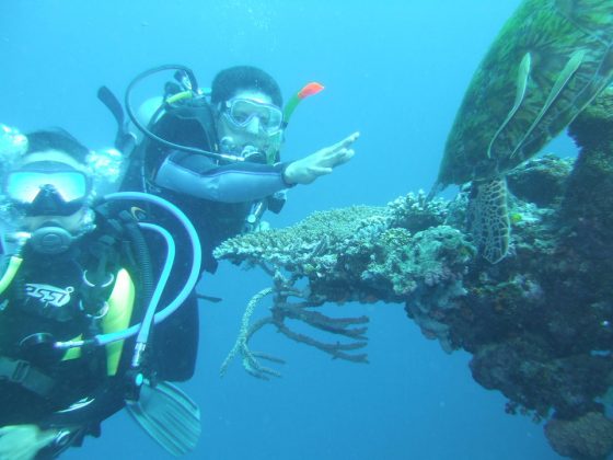 Must do in Cebu — 10 top things to do in Cebu Island & best things to ...