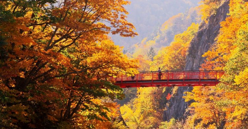 Hokkaido autumn itinerary blog — What to do & suggested Hokkaido 9 days ...