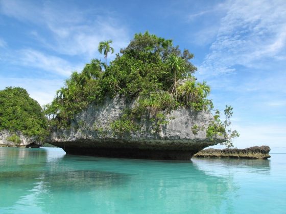 Palau travel blog — The fullest Palau travel guide for a great trip to ...