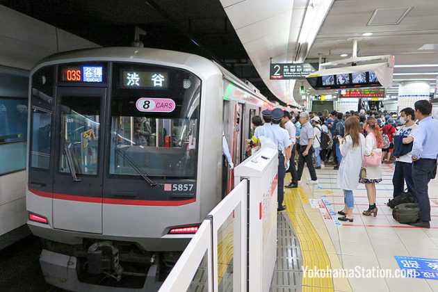 Yokohama travel blog — The fullest Yokohama travel guide & suggested ...