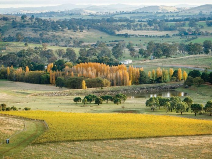 Canberra travel blog — The fullest Canberra travel guide for a great ...