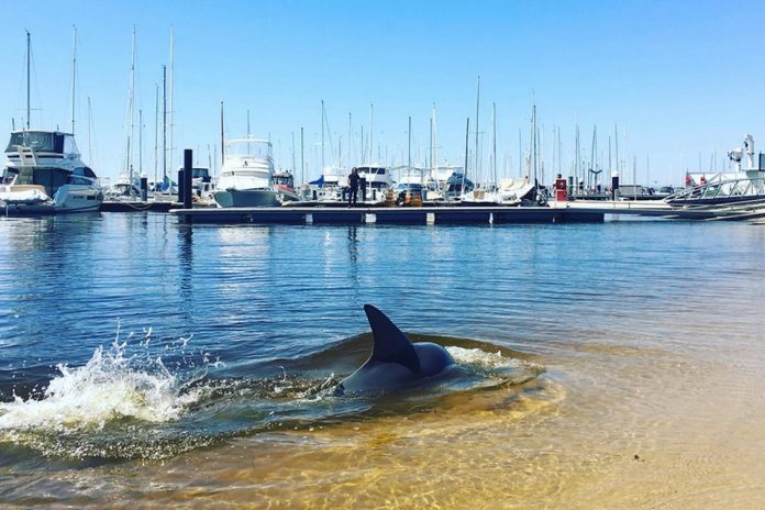 Perth travel blog — The fullest Perth travel guide for a great budget ...