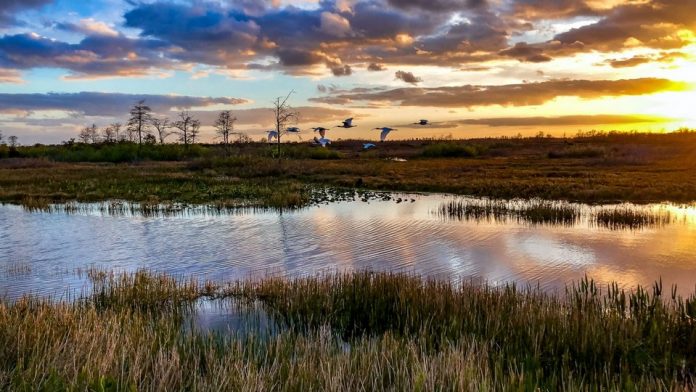 The ultimate East Coast USA travel guide: Top attractions, What to eat ...