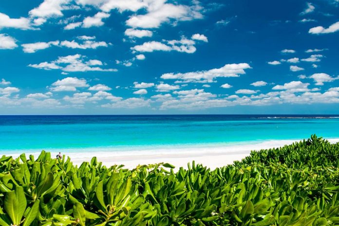 Cancun travel blog — The fullest Cancun travel guide for a great trip ...