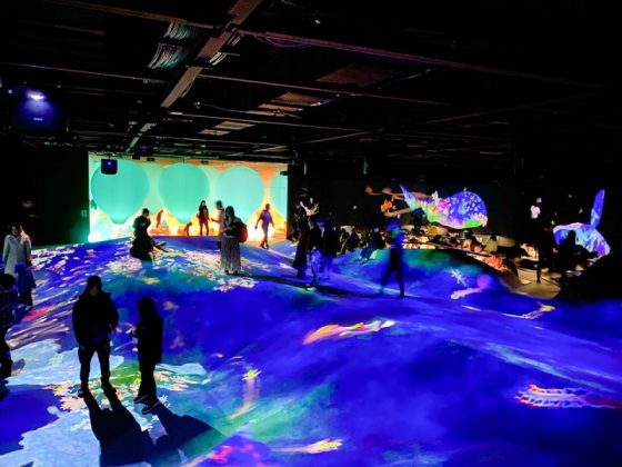Teamlab borderless Tokyo review — Experience the "Infinite World" at ...