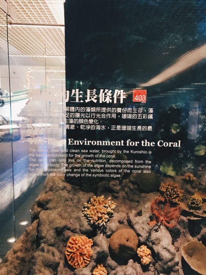 Visit Lanyang Museum, the pride of Yilan, Taiwan - Living + Nomads ...