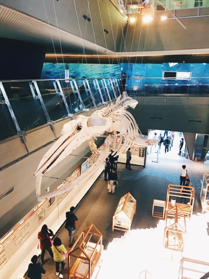 Visit Lanyang Museum, the pride of Yilan, Taiwan - Living + Nomads ...