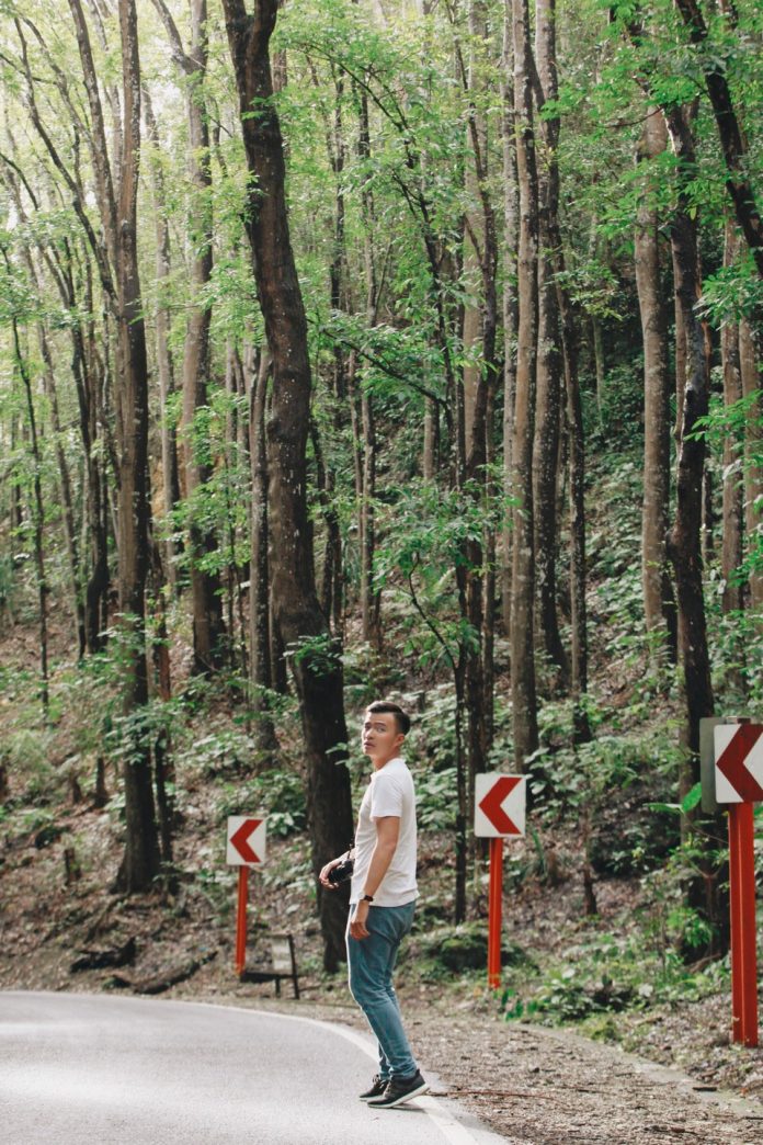 Bohol day trip from Cebu — One day in Bohol, a mysterious island of the ...