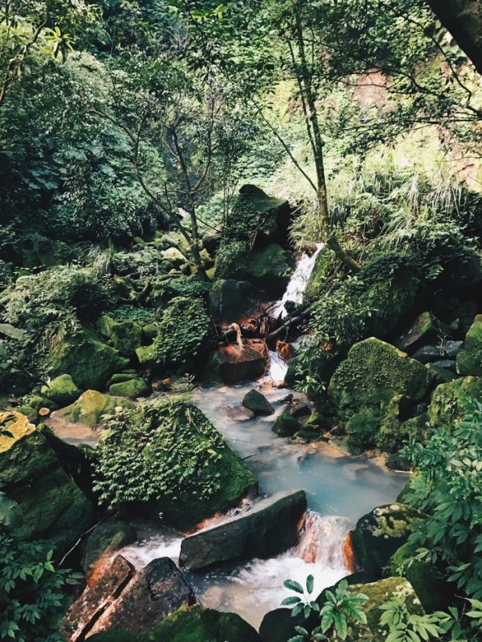 Yangmingshan travel blog — The fullest Yangmingshan national park guide ...