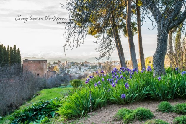 Granada blog — The fullest Granada Spain travel guide & suggested ...