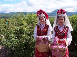 What to buy in Bulgaria? — Top +17 gifts, souvenirs & best things to ...