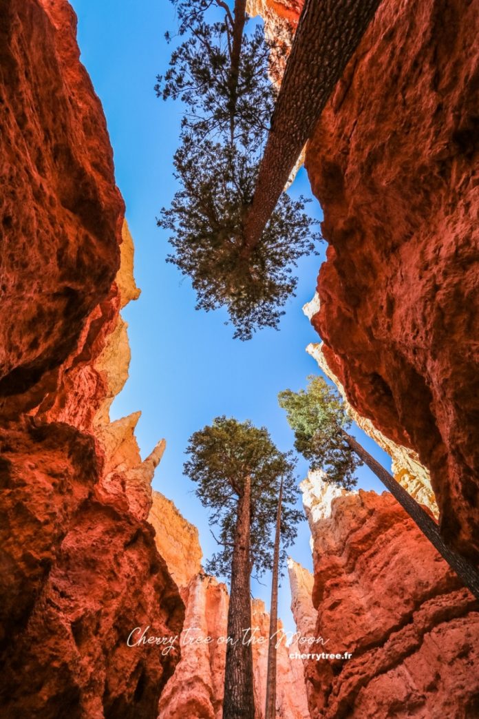 Bryce Canyon itinerary — How to visit Bryce Canyon in one day? - Living ...