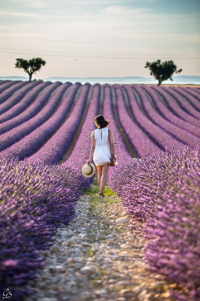 Provence road trip itinerary blog — How to spend 5 days in Provence ...