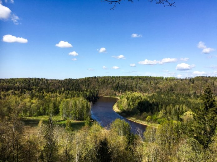 Guide from Riga to Gauja National park — The fullest Gauja guide & what ...