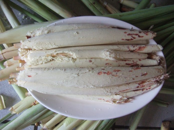 taro fiji - Living + Nomads – Travel tips, Guides, News & Information!