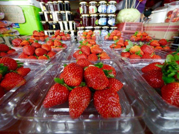 Cameron Highlands shopping — Top 9+ must-have souvenir & what to buy in ...