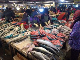 Best markets in Jeju — Top +13 best Jeju traditional markets & Jeju 5 ...