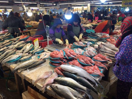 Best markets in Jeju — Top +13 best Jeju traditional markets & Jeju 5 ...