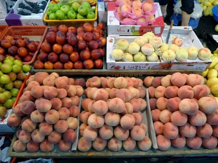 Best markets in Jeju — Top +13 best Jeju traditional markets & Jeju 5 ...