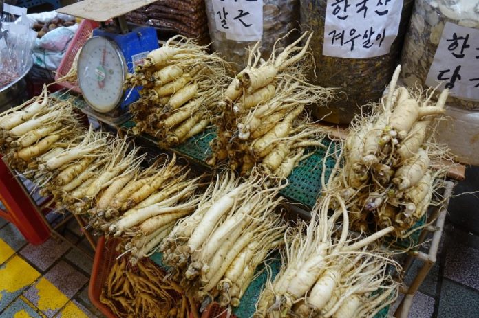 Best markets in Jeju — Top +13 best Jeju traditional markets & Jeju 5 ...