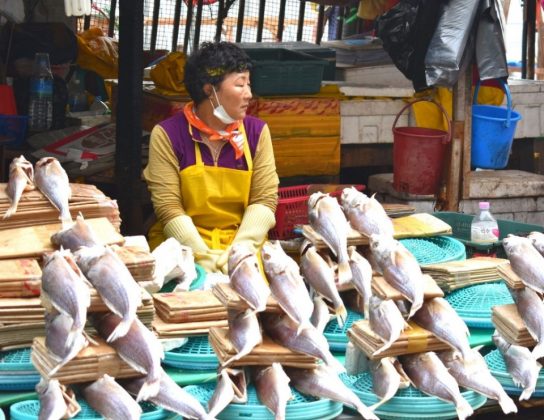 Best markets in Jeju — Top +13 best Jeju traditional markets & Jeju 5 ...