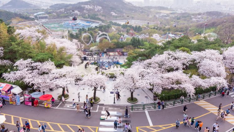 Daegu travel blog — The fullest Daegu travel guide for first-timers ...