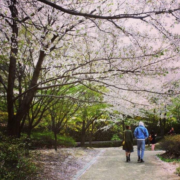 Where to go in Daegu? — 11+ must-see & best places to visit in Daegu ...