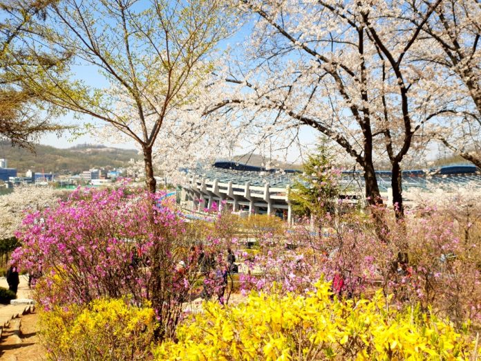 Incheon travel blog — The fullest Incheon travel guide for first-timers ...