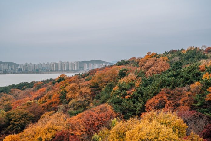 Incheon travel blog — The fullest Incheon travel guide for first-timers ...