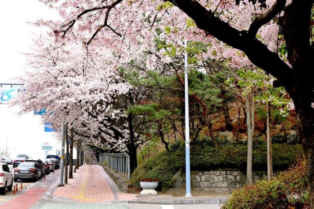 Incheon travel blog — The fullest Incheon travel guide for first-timers ...