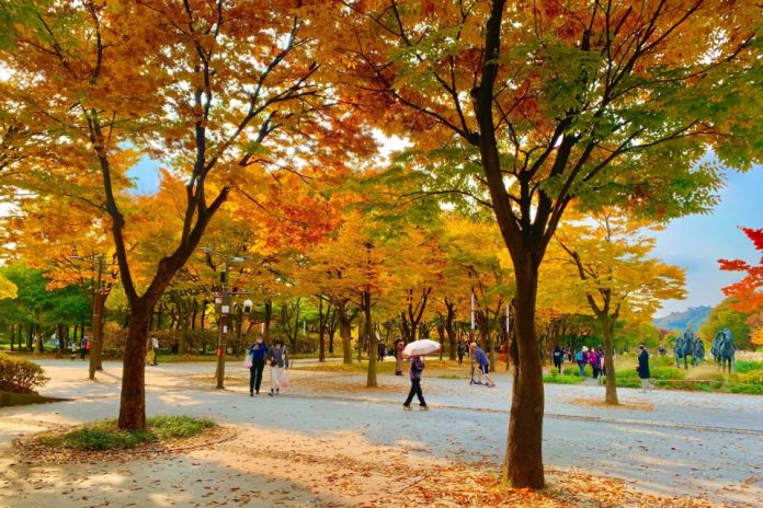 How to visit Korea in November: 12+ Top things to do & best places to ...