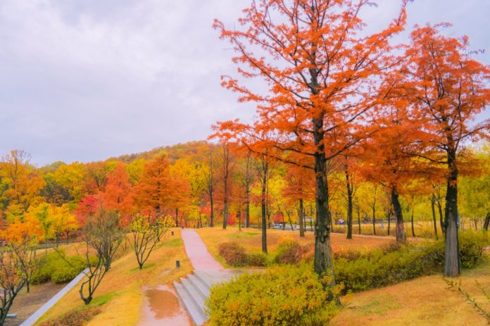 How to visit Korea in November: 12+ Top things to do & best places to ...