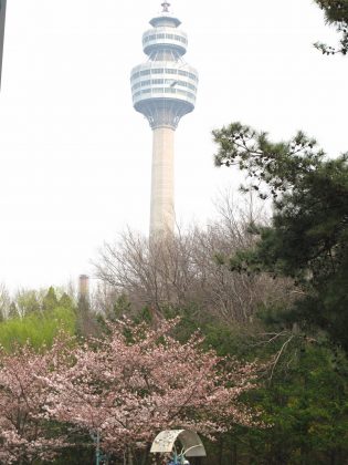 Where to go in Daegu? — 11+ must-see & best places to visit in Daegu ...