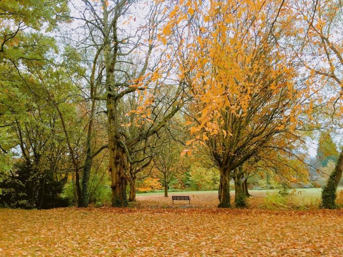 Cambridge blog — The UK Cambridge travel guide for first-timers ...