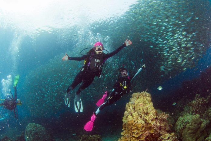 15 best diving spots in South East Asia & Asia - Living + Nomads ...