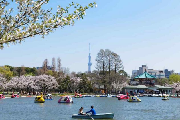 Ueno Tokyo guide — The Ueno travel guide with the best things to do in ...