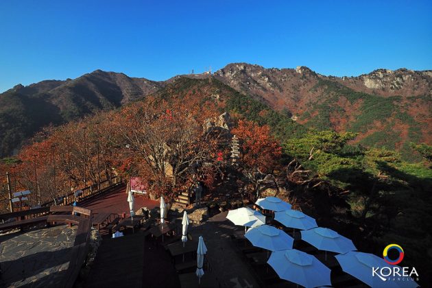 Where to go in Daegu? — 11+ must-see & best places to visit in Daegu ...